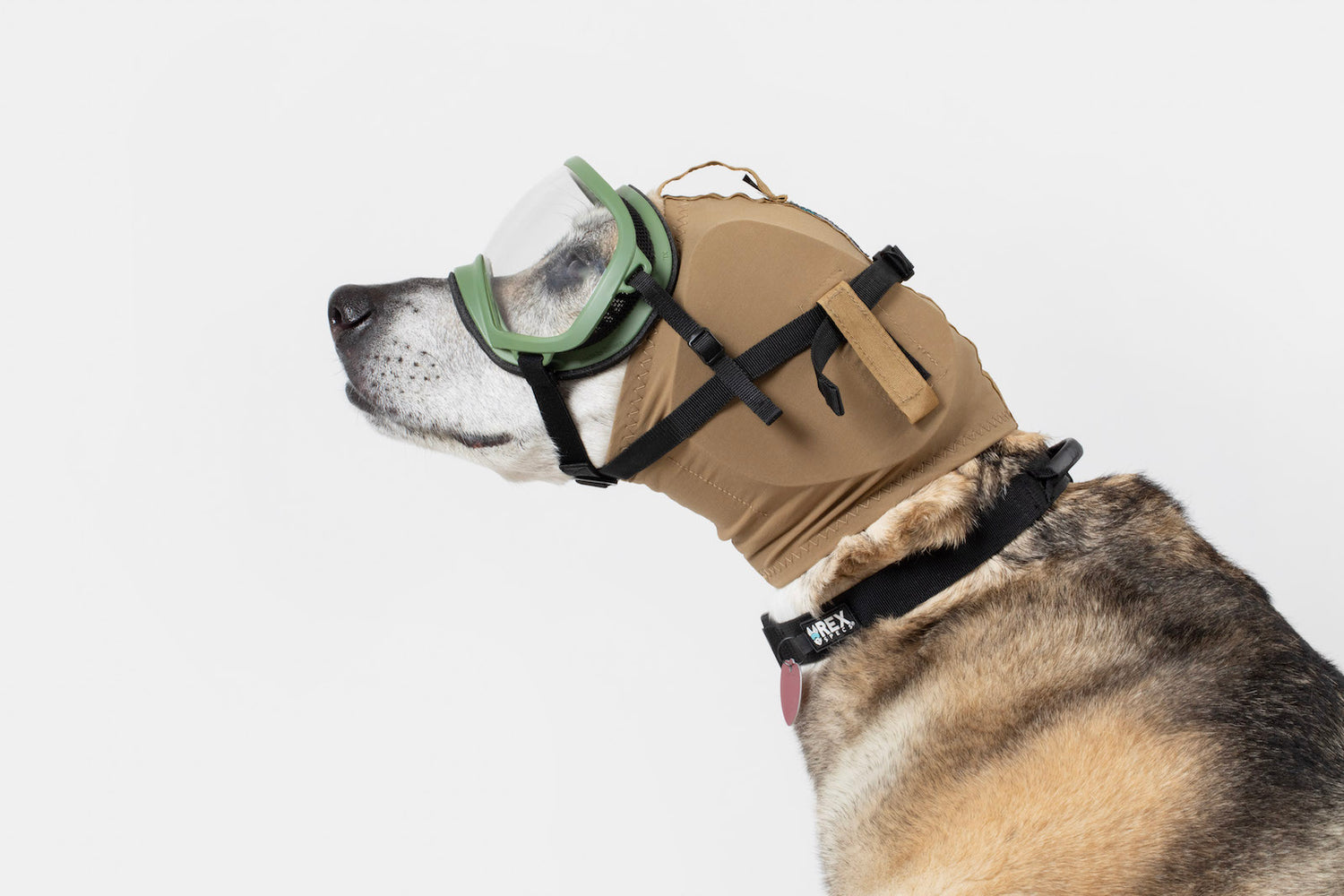 Performance of Rex Specs Ear Pro