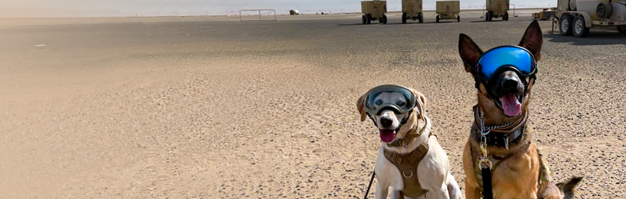 Rex Specs - Dog Goggles for the Active Dog