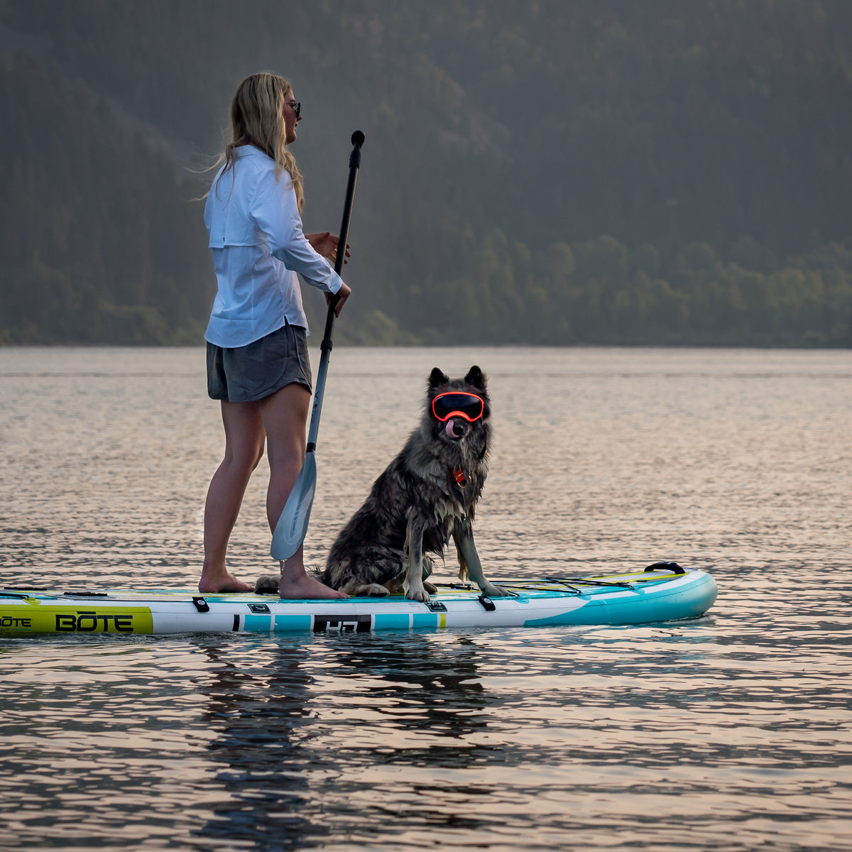 A Guide to SUP with Your Dog – Rex Specs