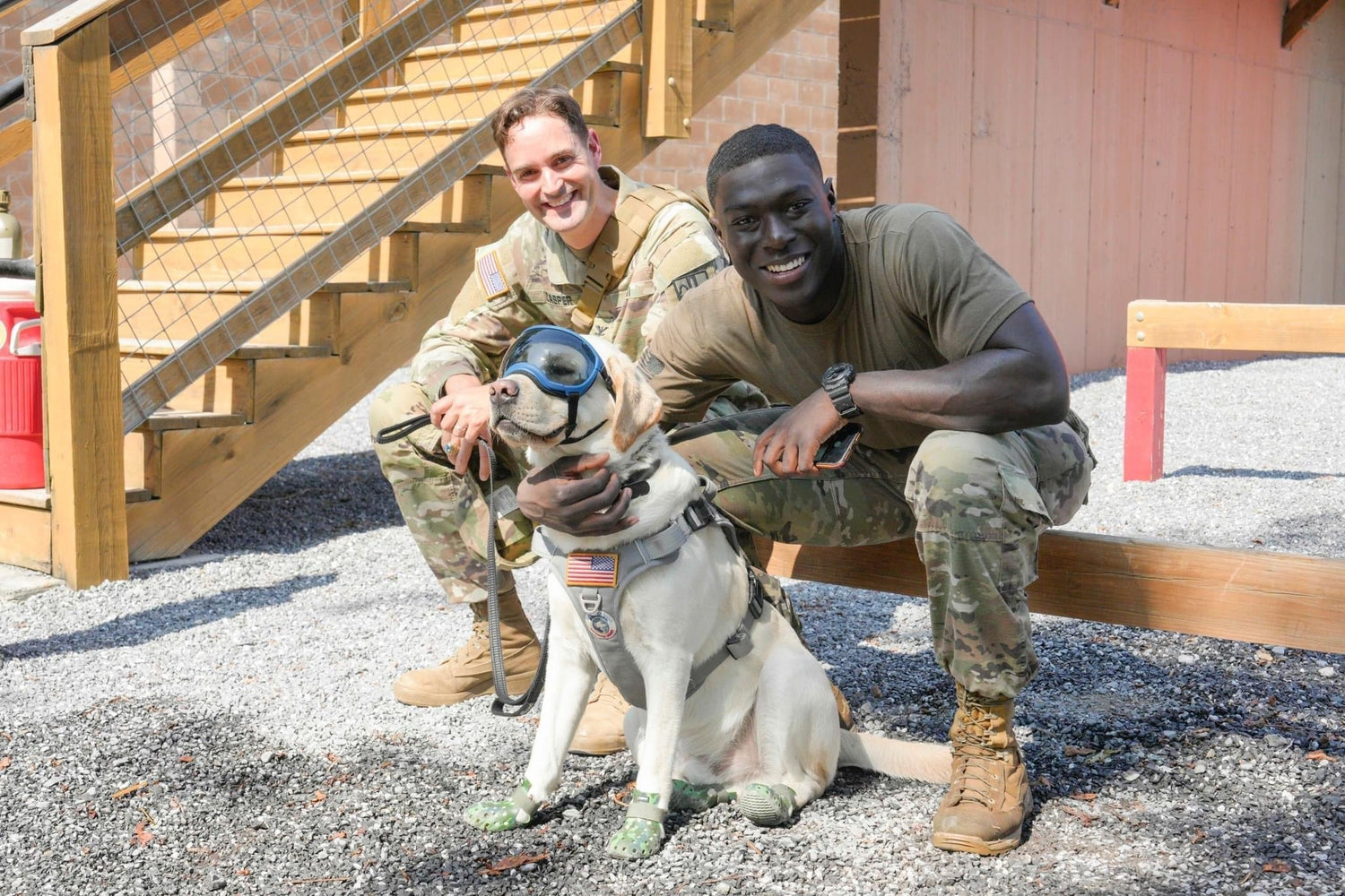 Mutts With A Mission: Working Dogs Who Make a Difference – Rex Specs