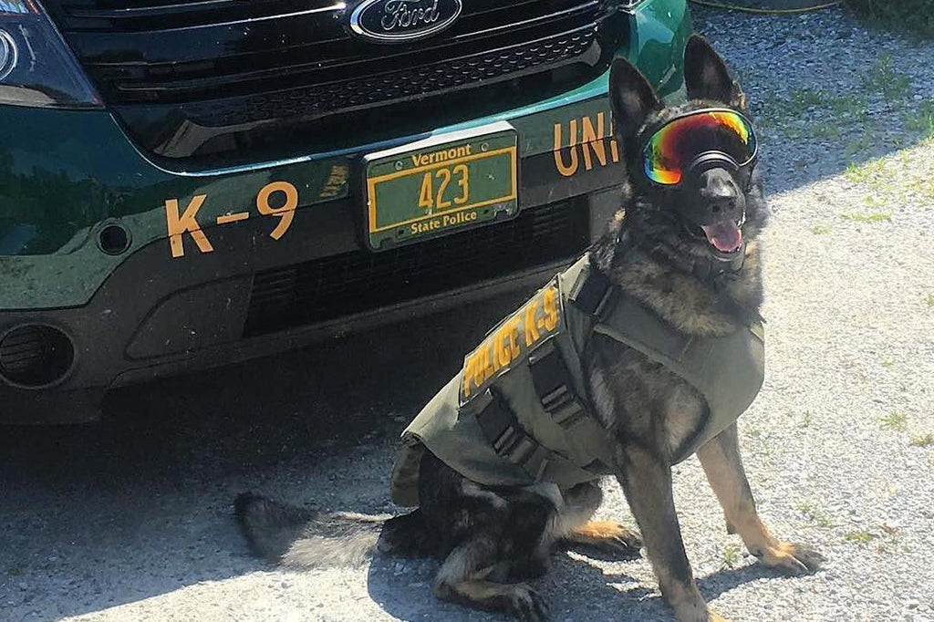 Synthetic Drug Dangers for Officers and K9s – Rex Specs