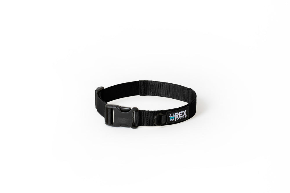Leashes and Collars – Rex Specs
