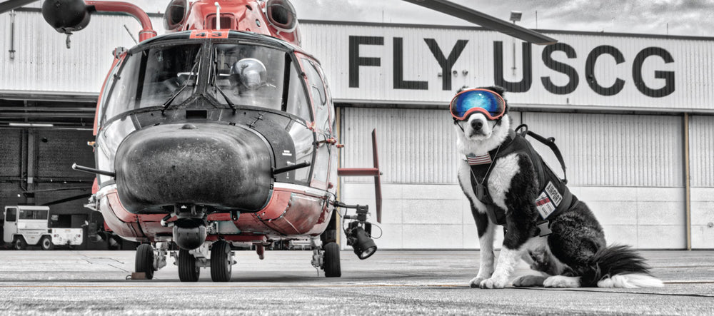 Protect Working Military Dogs with Rex Specs Dog Goggles