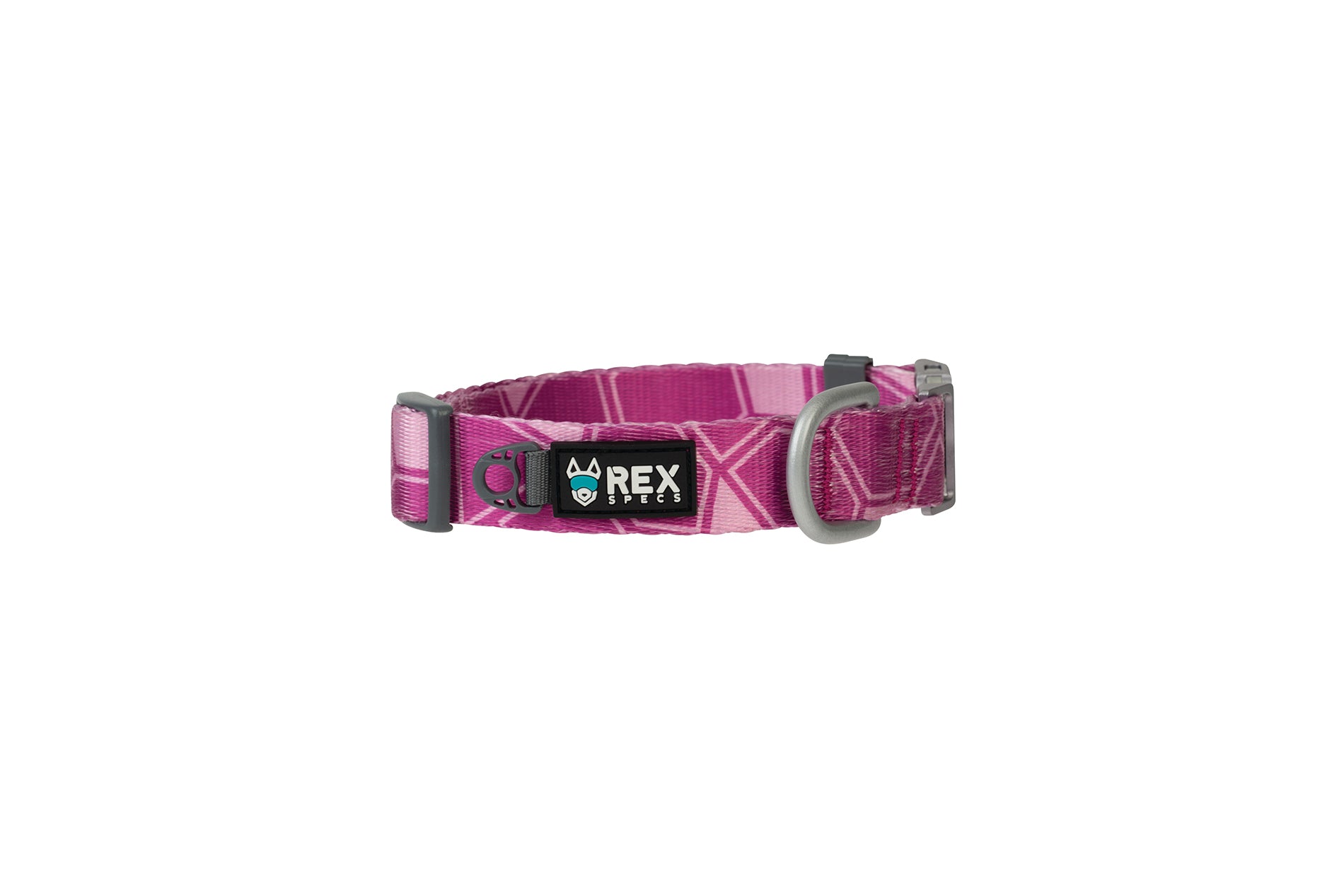Rex Specs New Leashes and Collars
