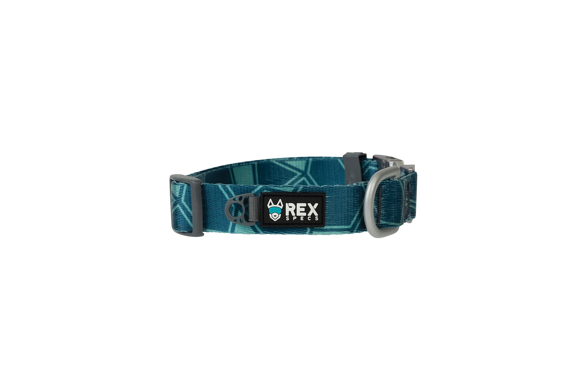 Rex Specs New Leashes and Collars