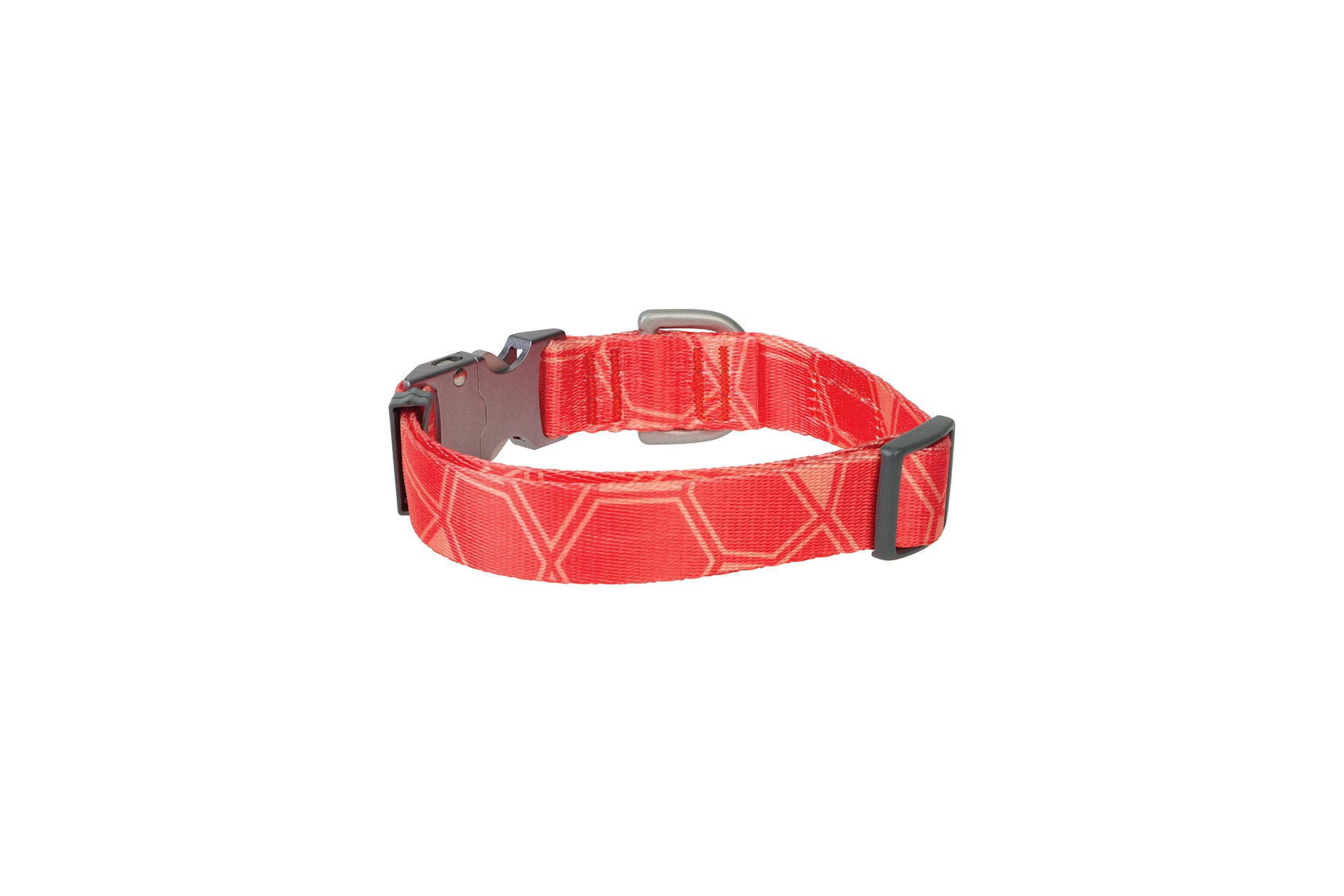 Rex Specs New Leashes and Collars