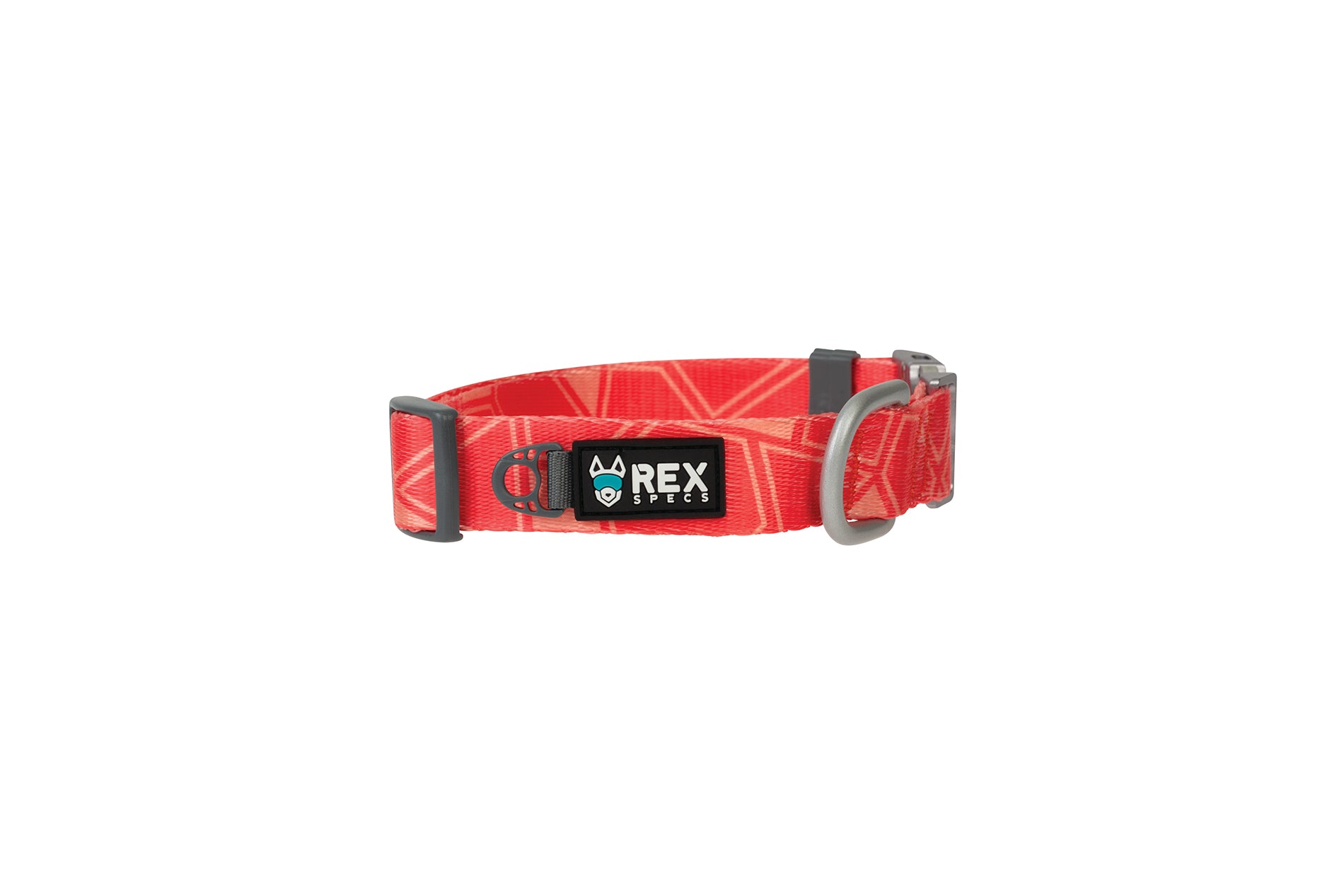 Rex Specs New Leashes and Collars