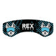 Lens Wraps Keep Your Dog's Rex Specs Lenses Clean & Scratch-Free