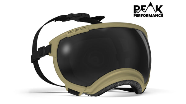 Protect Your Dog's Eyes from the Sun and Wind with Rex Specs