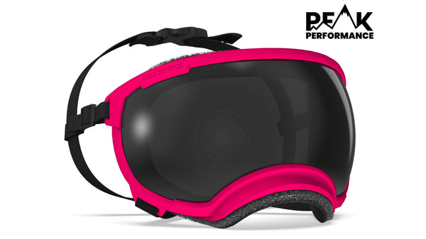 Protect Your Dog's Eyes from the Sun and Wind with Rex Specs