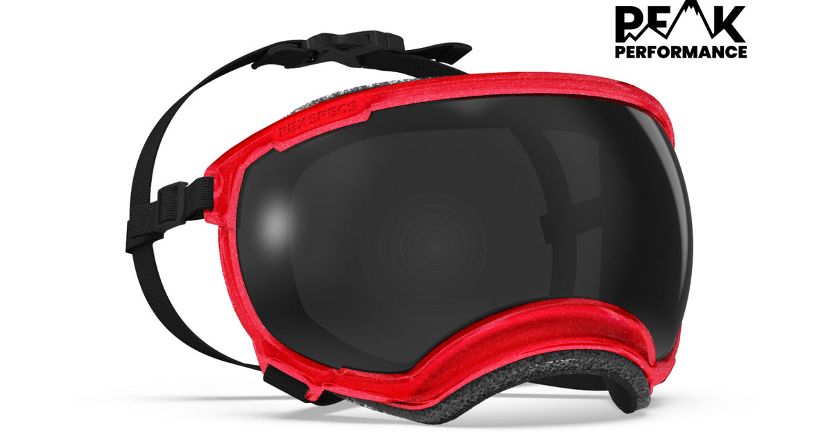 Dog Eyewear | Dog Goggles Eye Protection | Rex Specs