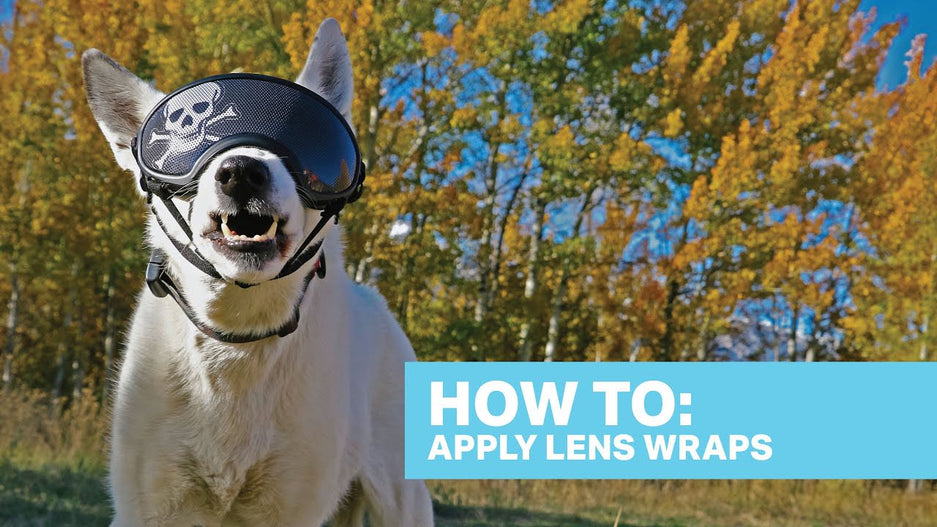 How To Apply Rex Specs Dog Goggle Lens Wraps