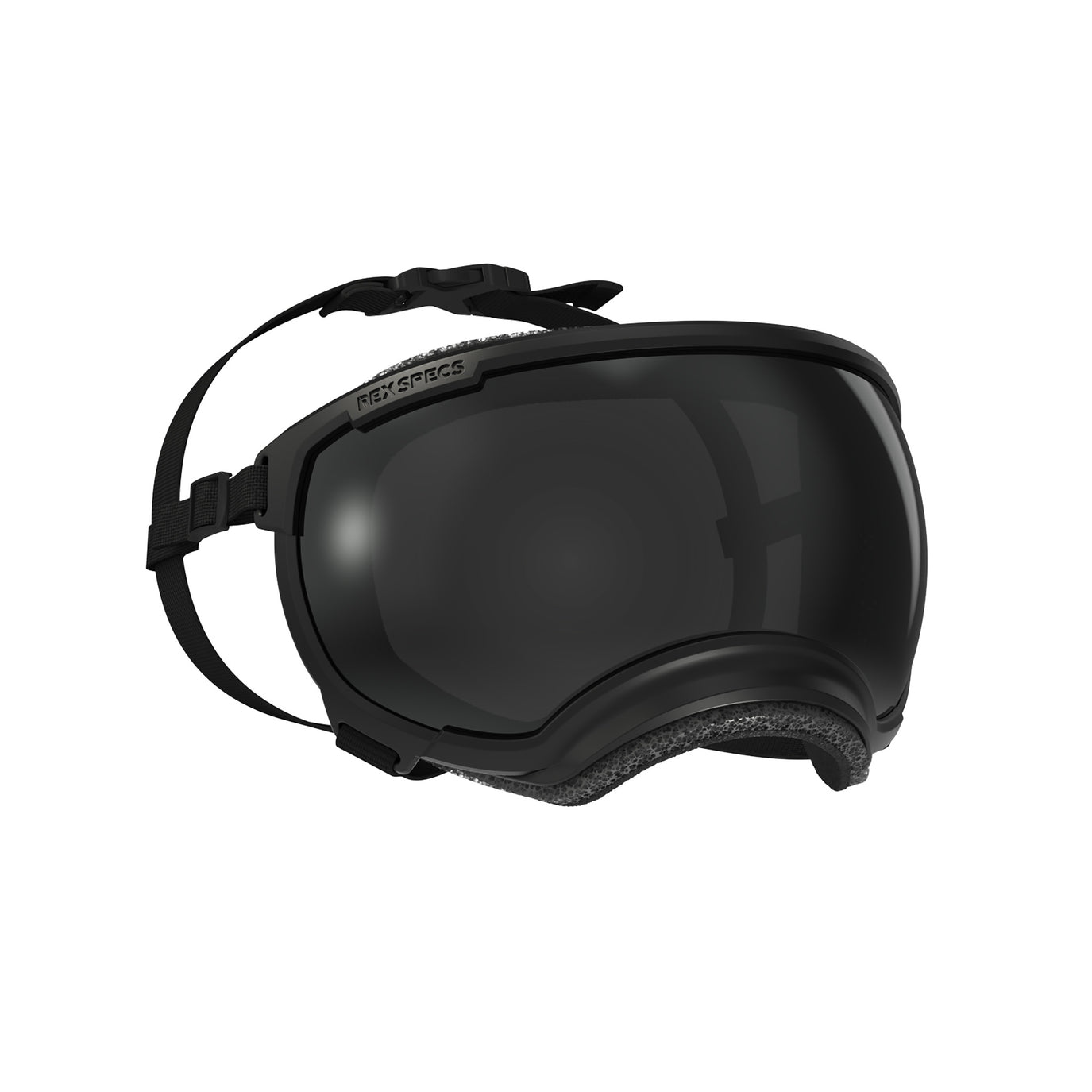 Dog Eyewear | Dog Goggles Eye Protection | Rex Specs
