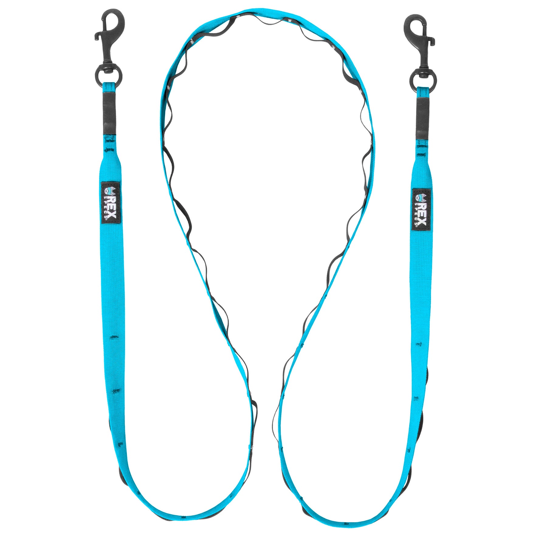 Trailhead Leash Dual Snap – Rex Specs