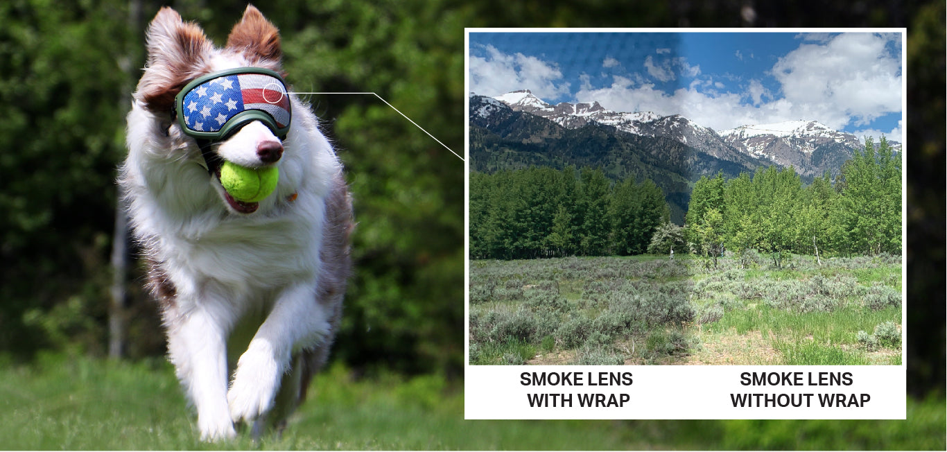 Lens Wraps Keep Your Dog's Rex Specs Lenses Clean & Scratch-Free