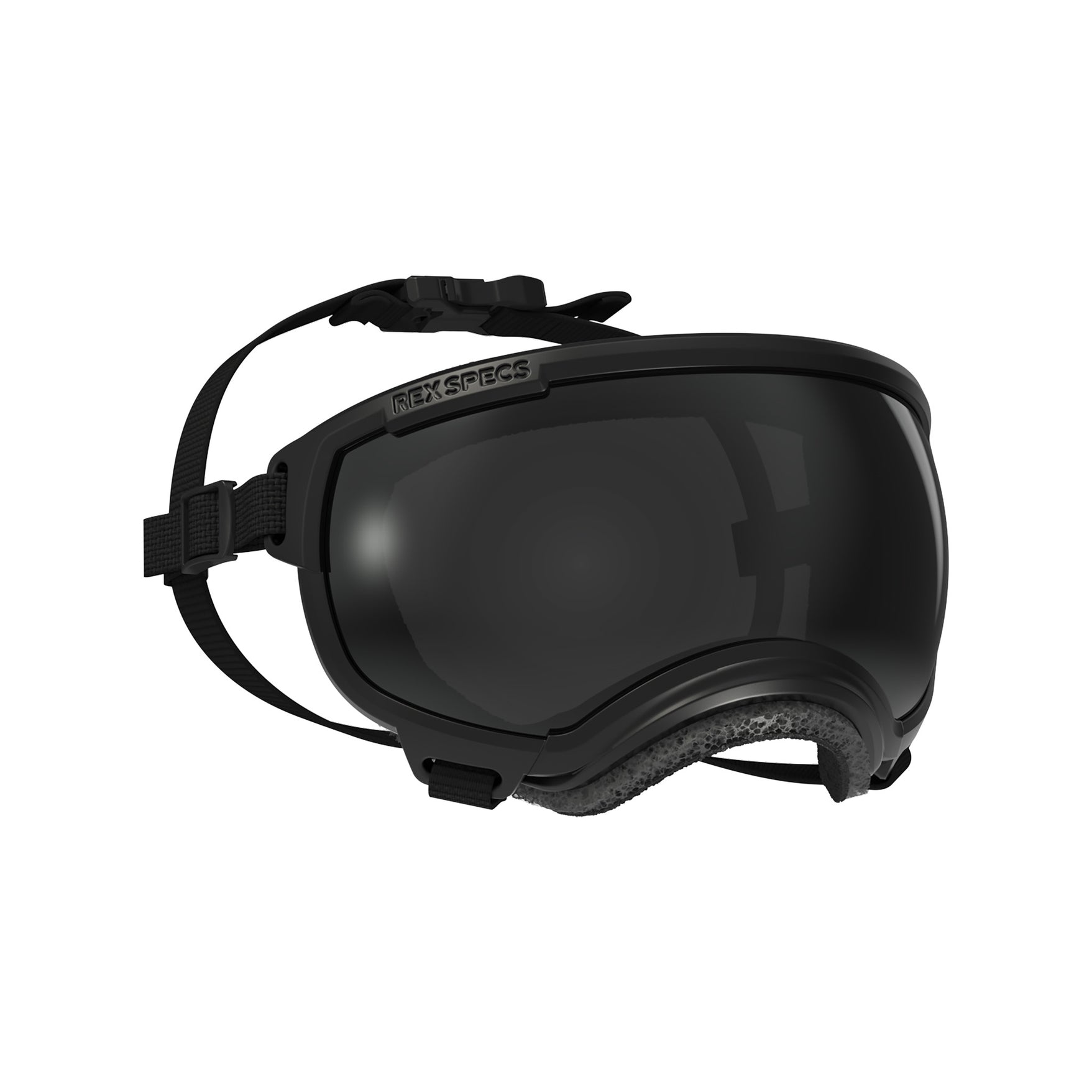 Dog Eyewear | Dog Goggles Eye Protection | Rex Specs
