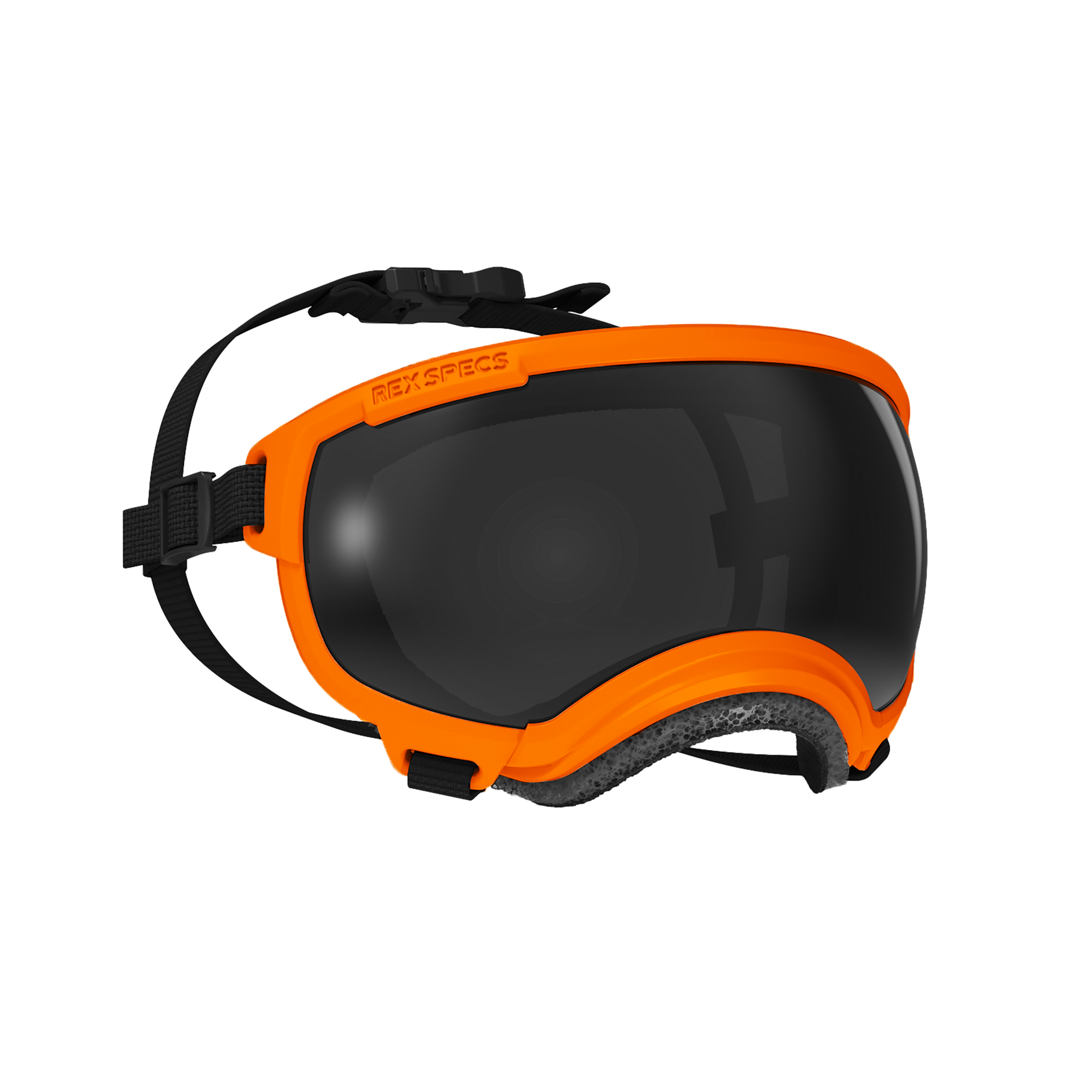 Dog Eyewear | Dog Goggles Eye Protection | Rex Specs