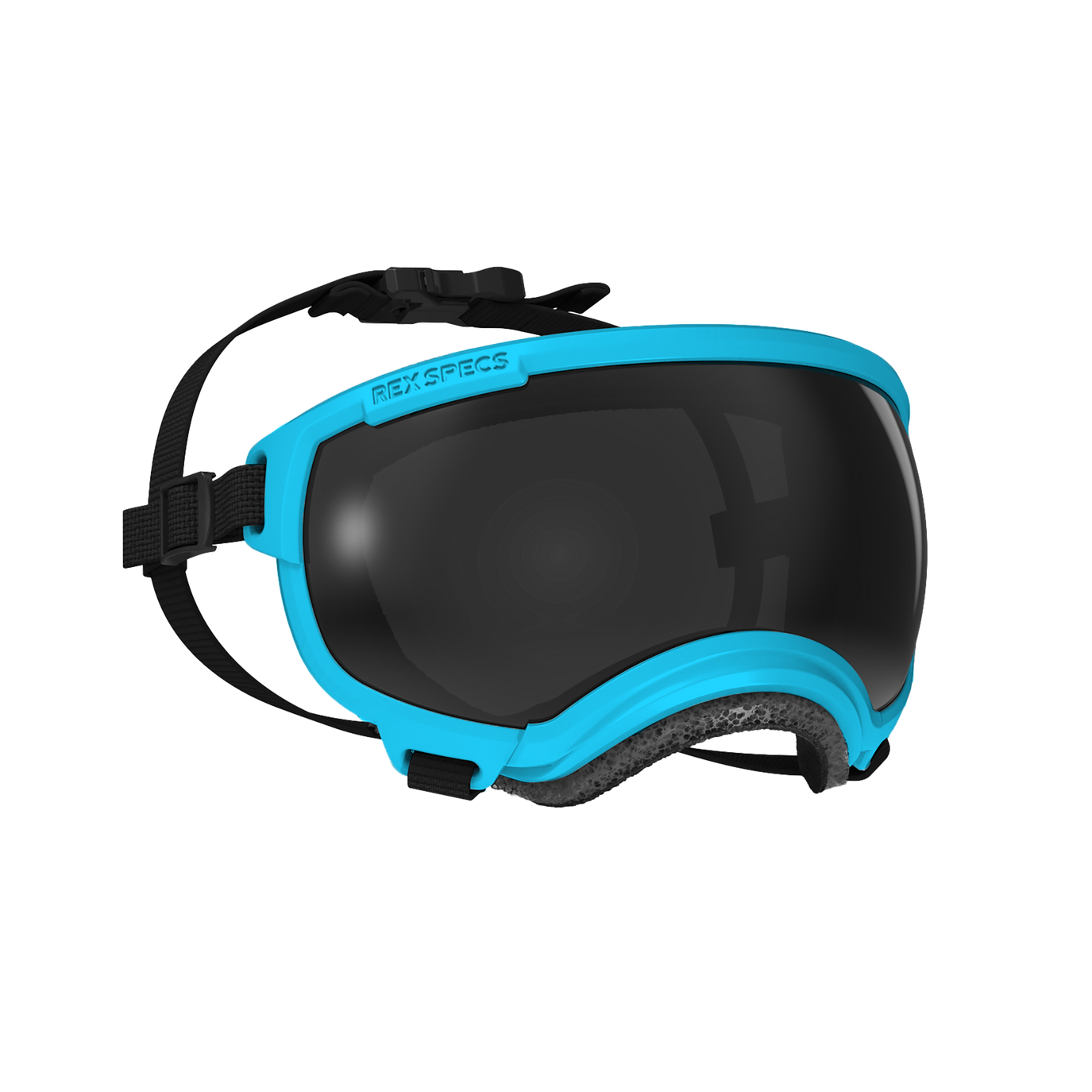 Dog Eyewear | Dog Goggles Eye Protection | Rex Specs