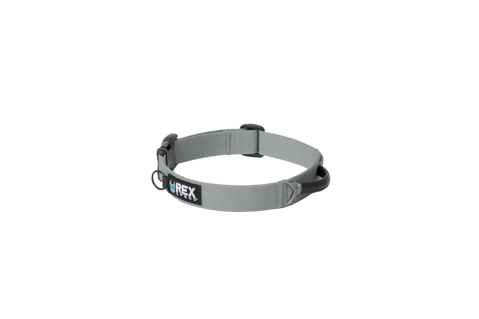 Rex Specs New Leashes and Collars