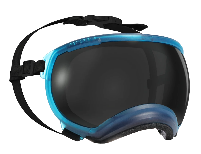 Limited Edition Goggles – Rex Specs