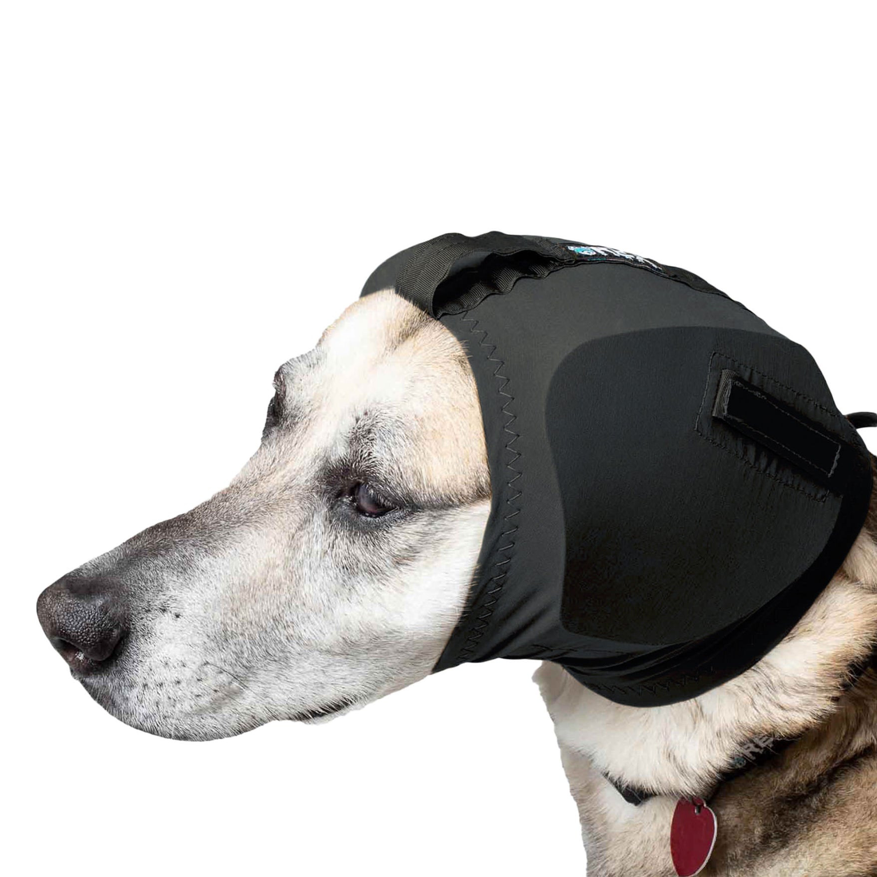 Buy Ear Pro for Dogs | Rex Specs