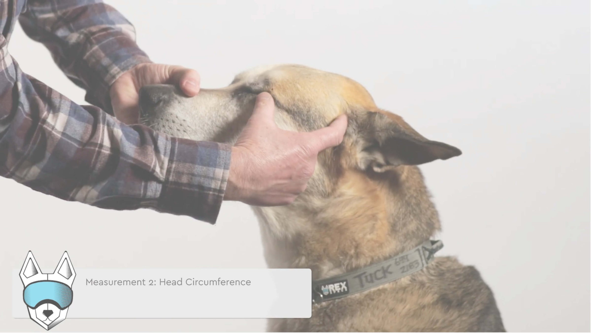 Learn How to Fit Your Rex Specs, Change Lenses - Rex Specs