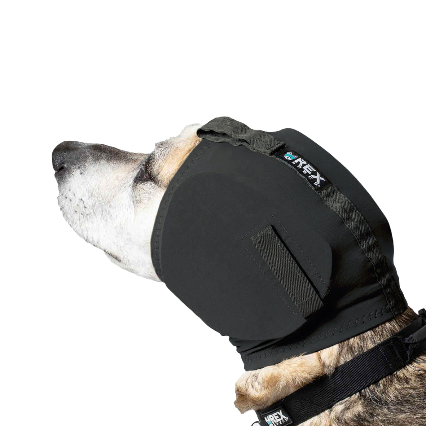 Ear Pro for Dogs – Rex Specs