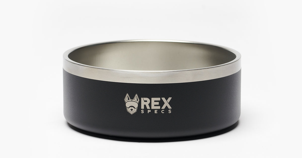 Feed Your Dog in Style with Our Rex Specs Dog Bowl