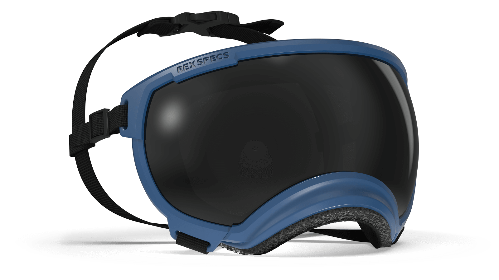 Meet Our Affiliates – Rex Specs