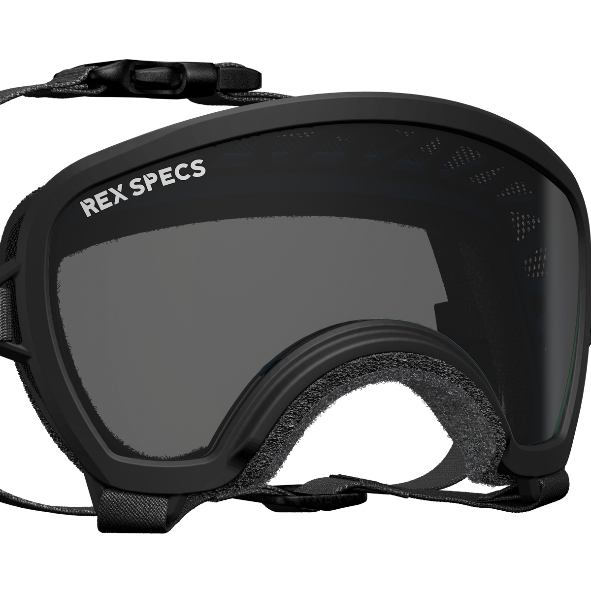 Small Wide Goggle - The Perfect Fit for Dogs with Wider Faces – Rex Specs